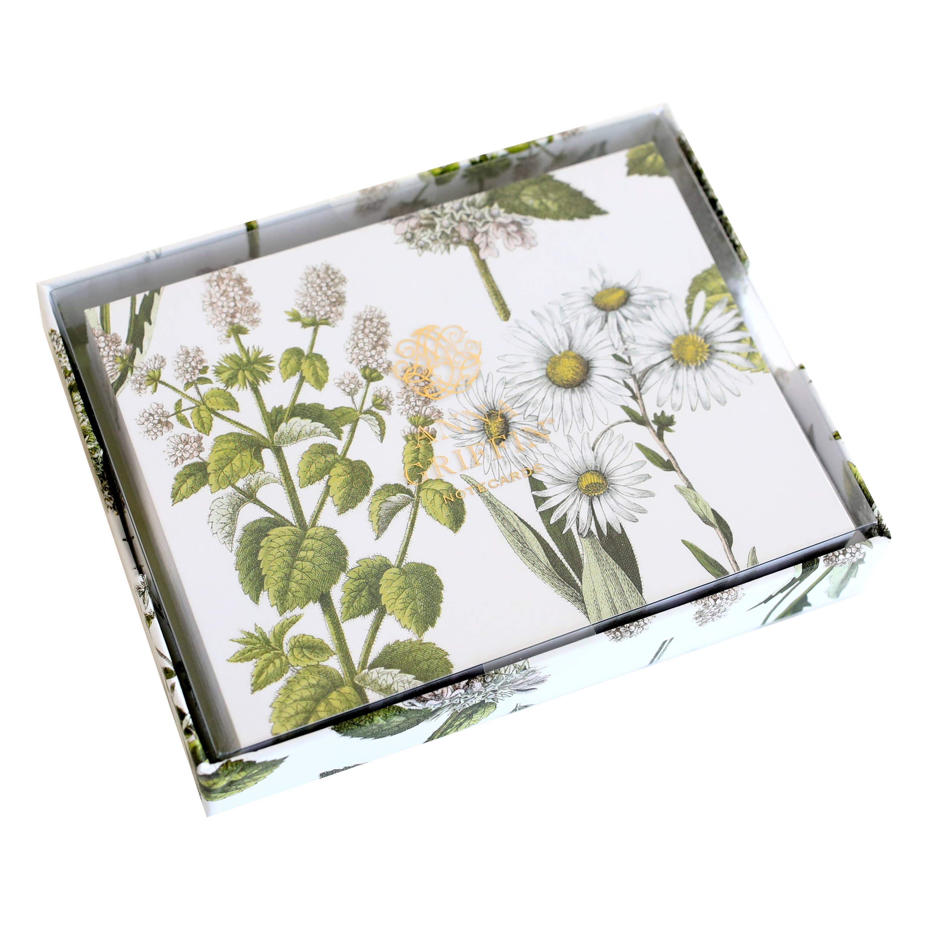 Botanical Daisy Folded Note Card – Celebrate By Lisa Lou