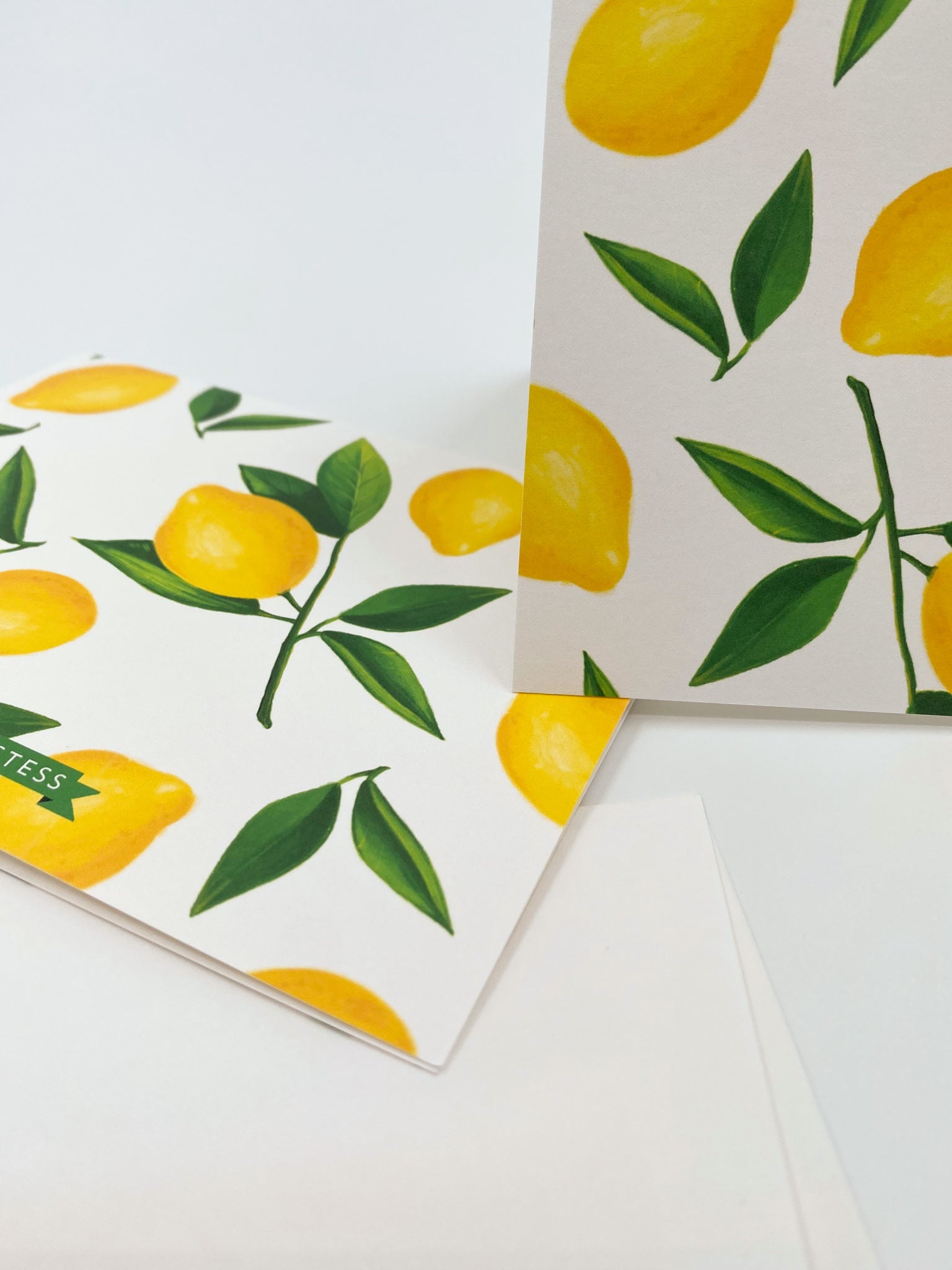 Folded Notecards, Pack of 10 – Celebrate By Lisa Lou